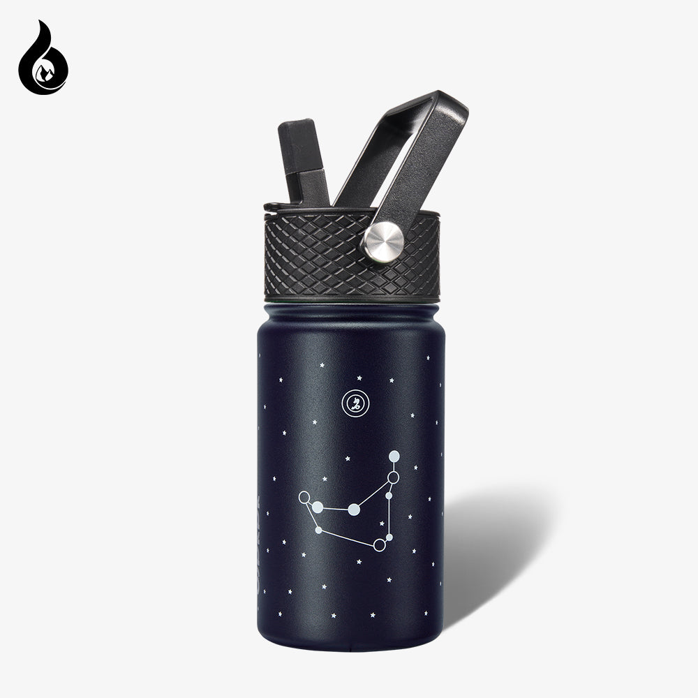 BJPKPK Constellation Insulated Water Bottle with Straw Lid, 15oz